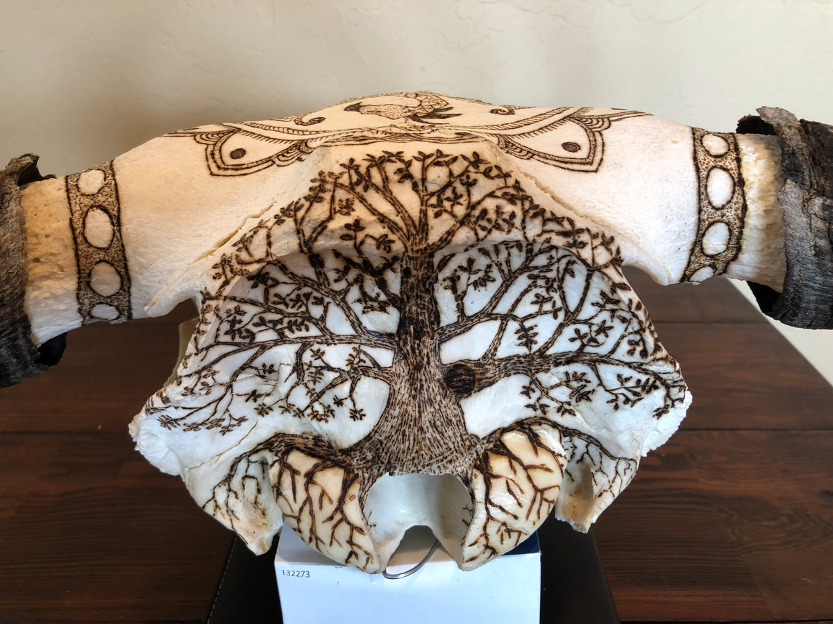P #20, Pyrography on Bison Skull – Poling Studios